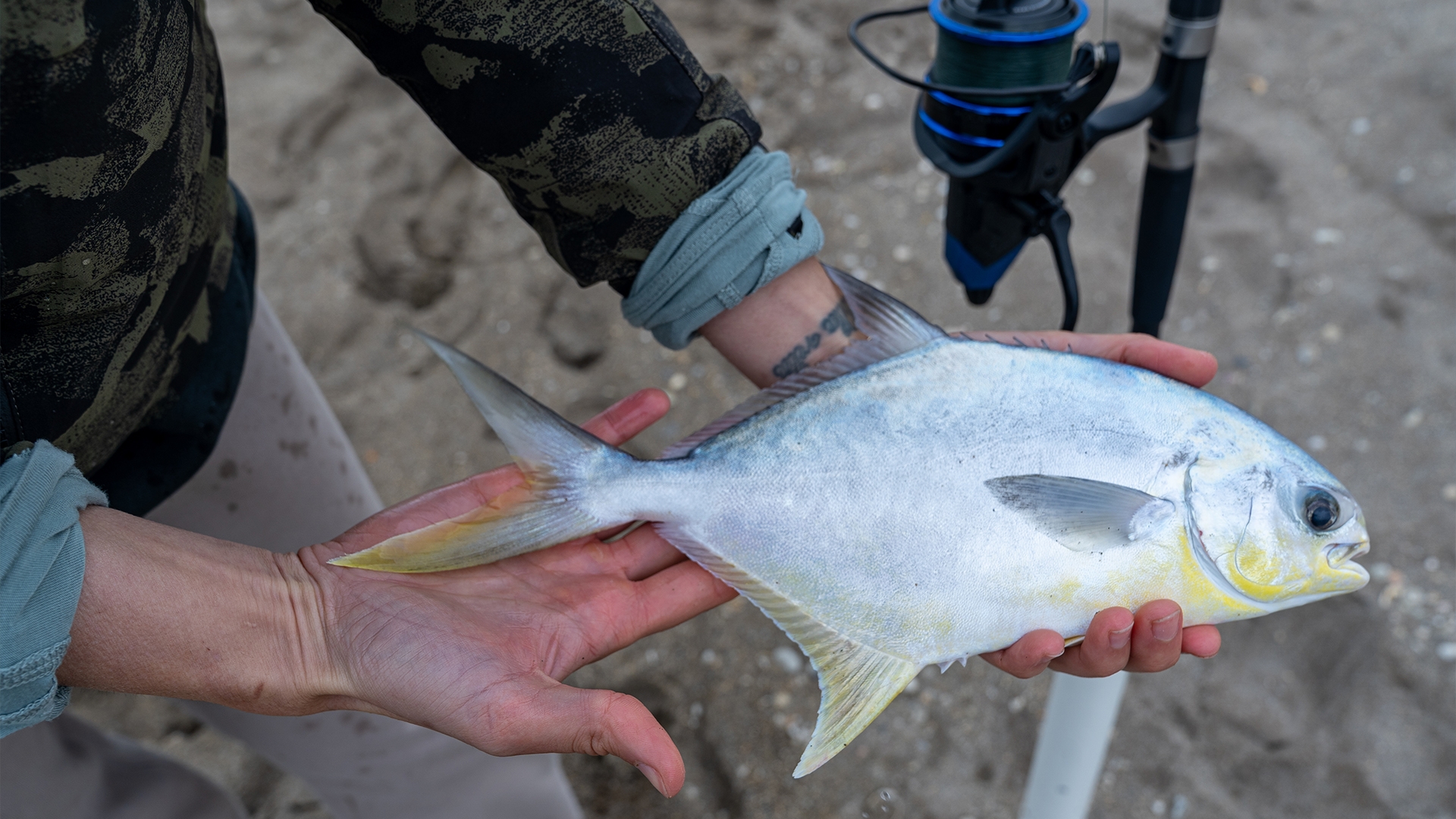 Catching Florida's Best Eating Fish | MidwayUSA