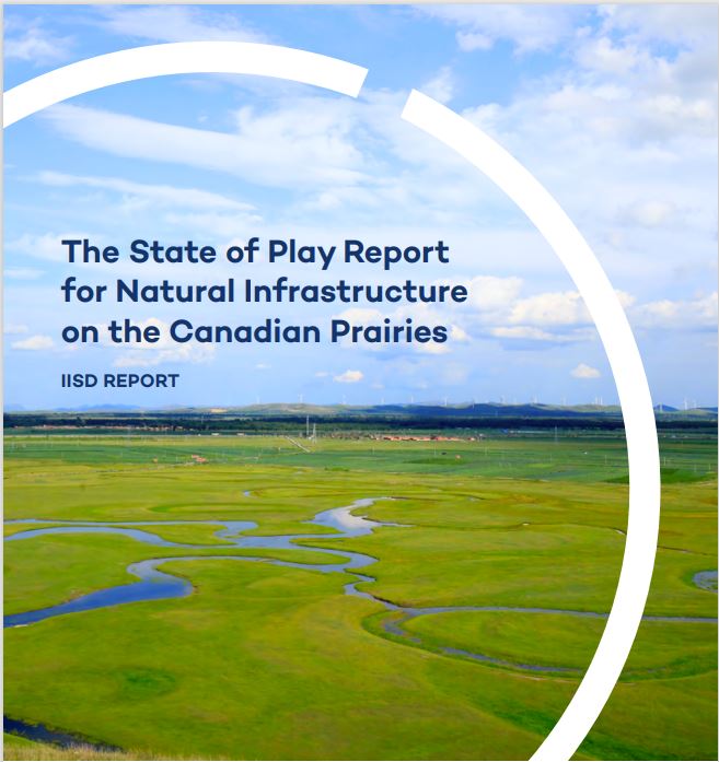 Publications library | BHP Foundation