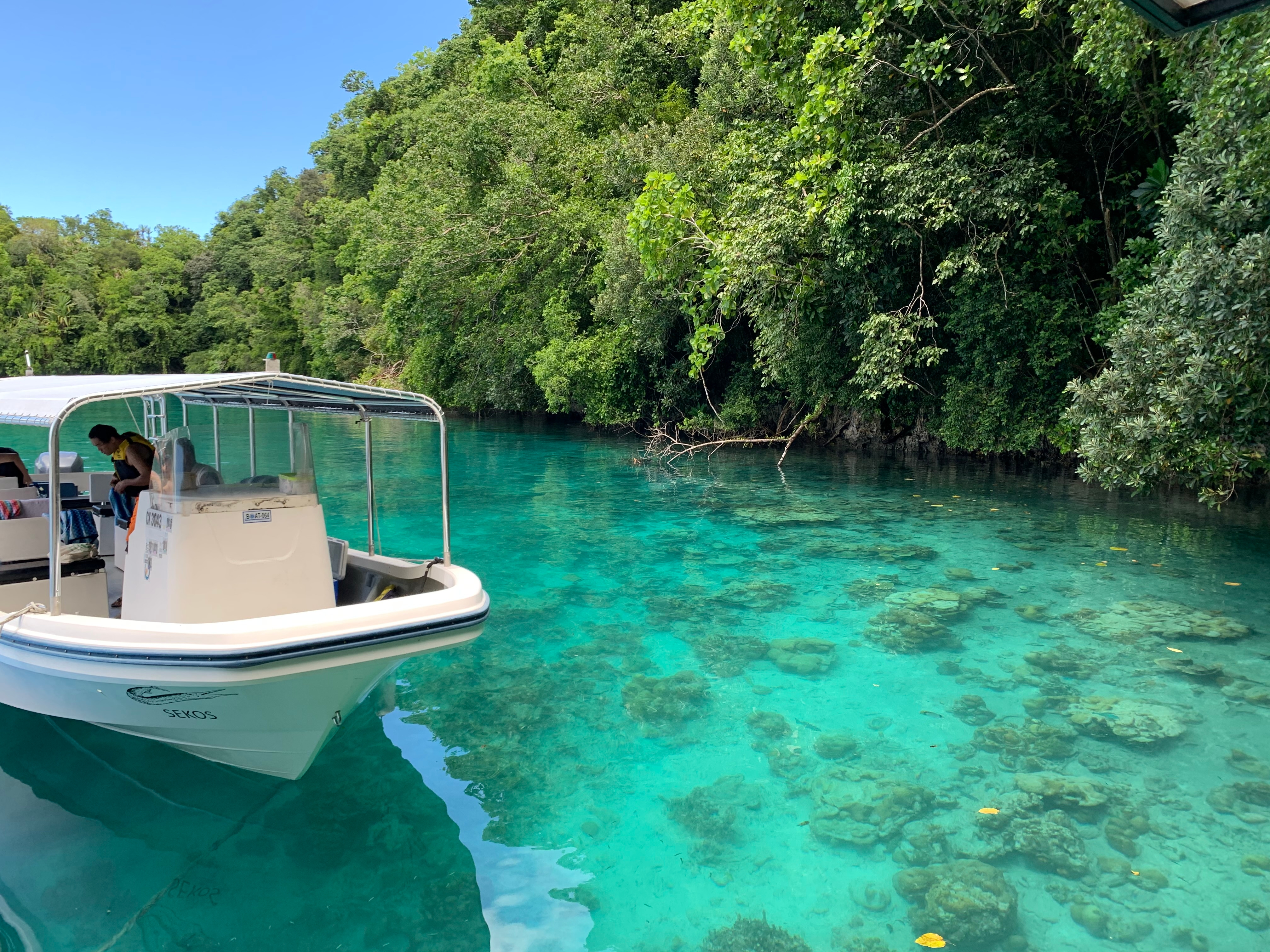 Environmental Resilience program | BHP Foundation