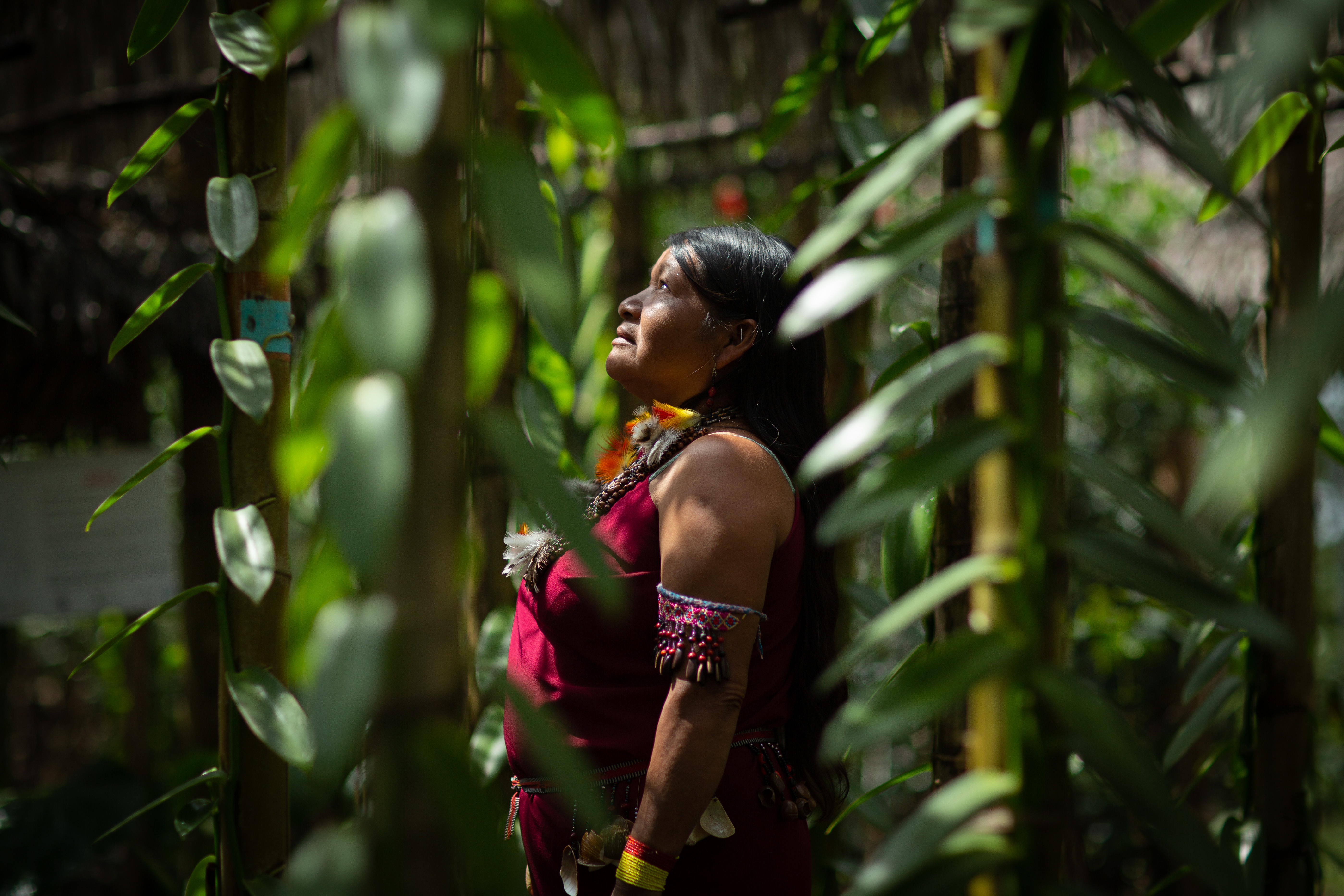 Indigenous self-determination is a right BHP Foundation actively ...