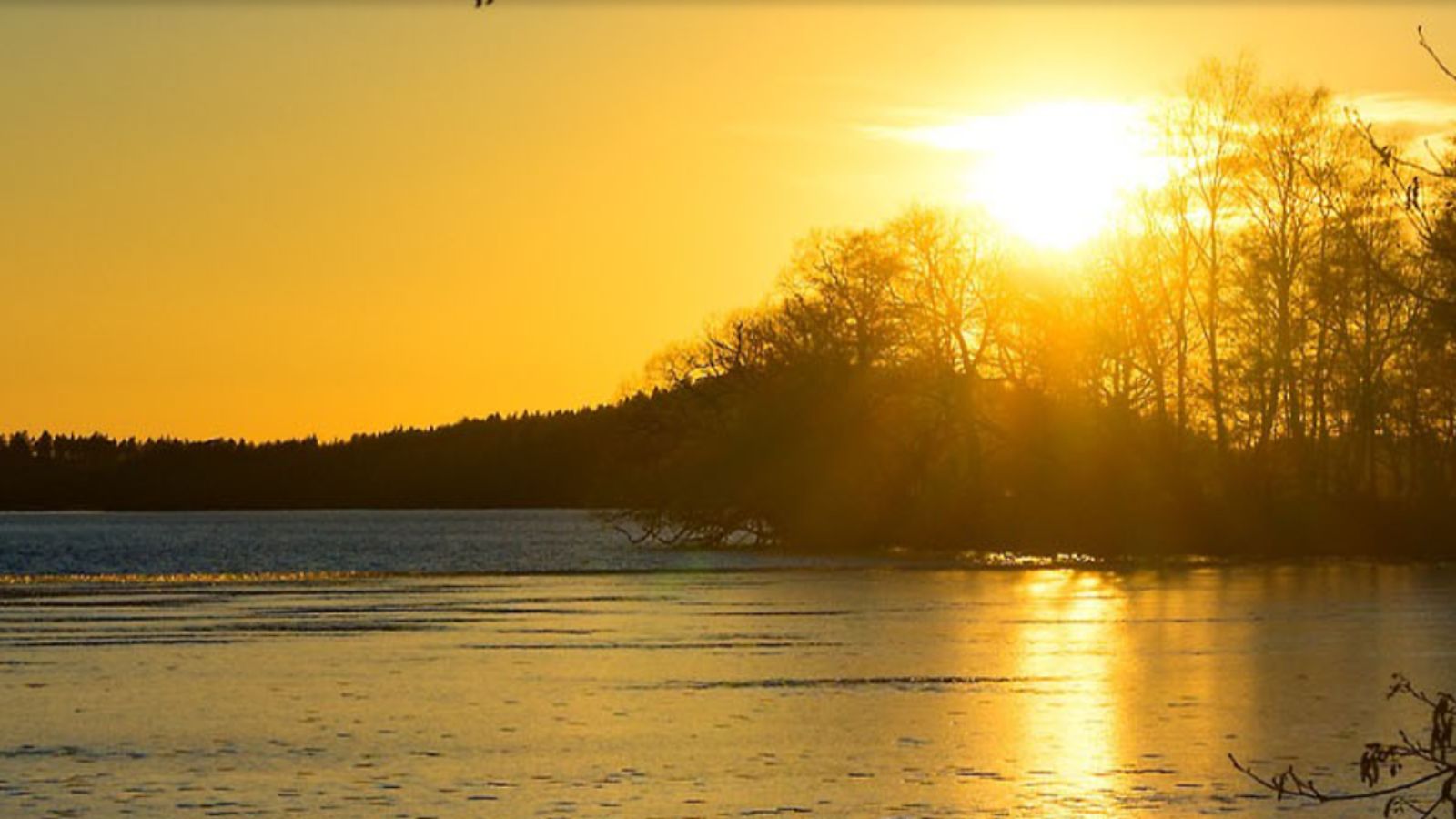 3 online resources to learn about governance and collaborative decision ...