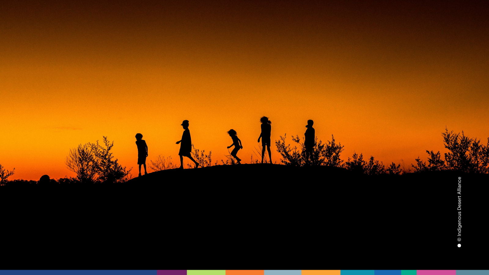 Meet the changemakers: the Australian Indigenous Governance Institute ...