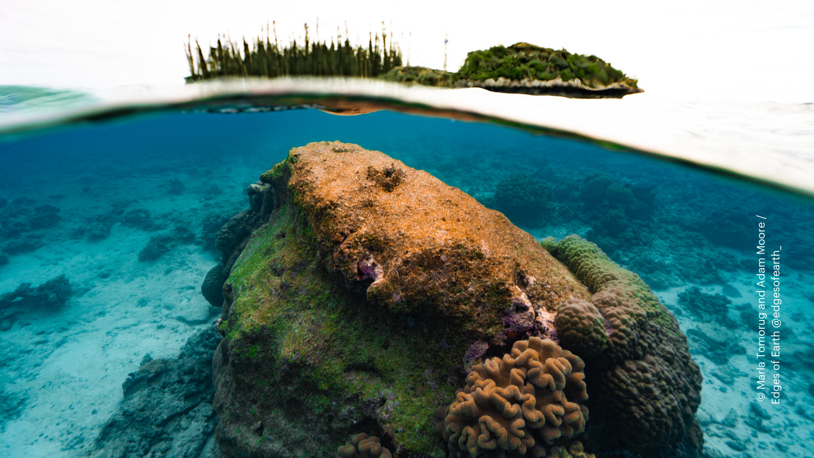 Meet the changemakers: the Great Barrier Reef Foundation | BHP Foundation