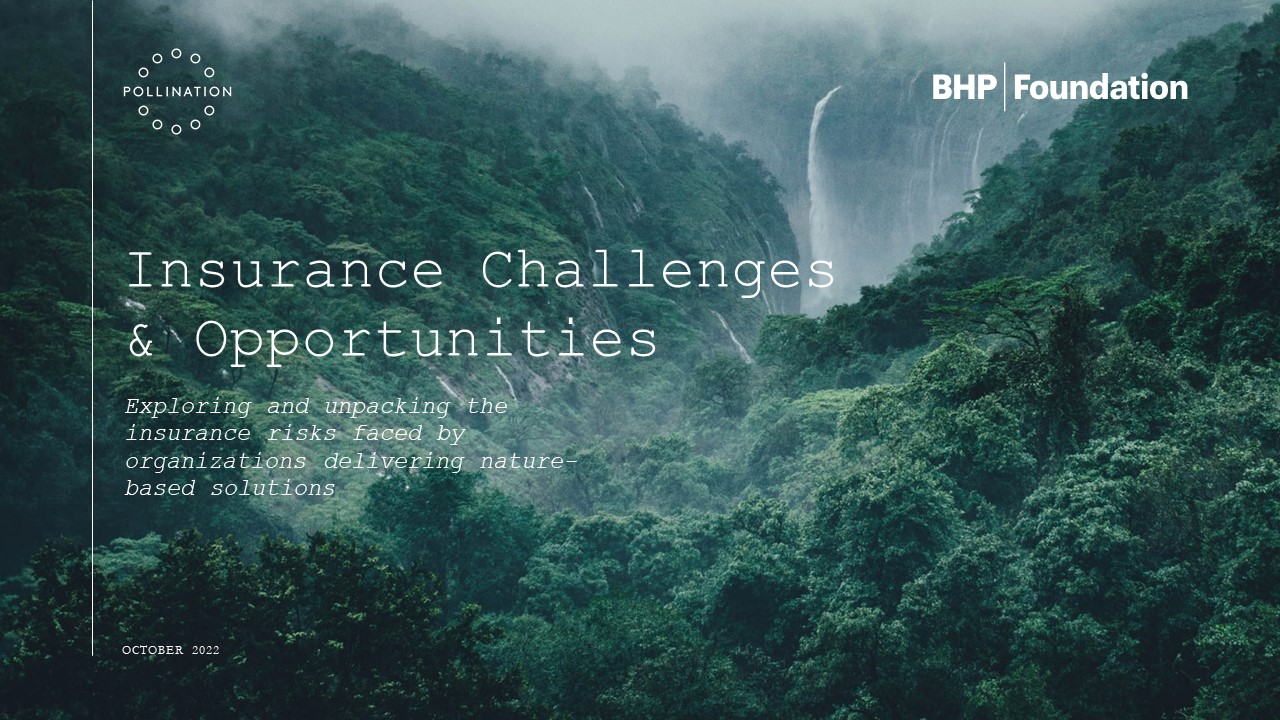 Insurance challenges and opportunities for organizations delivering ...