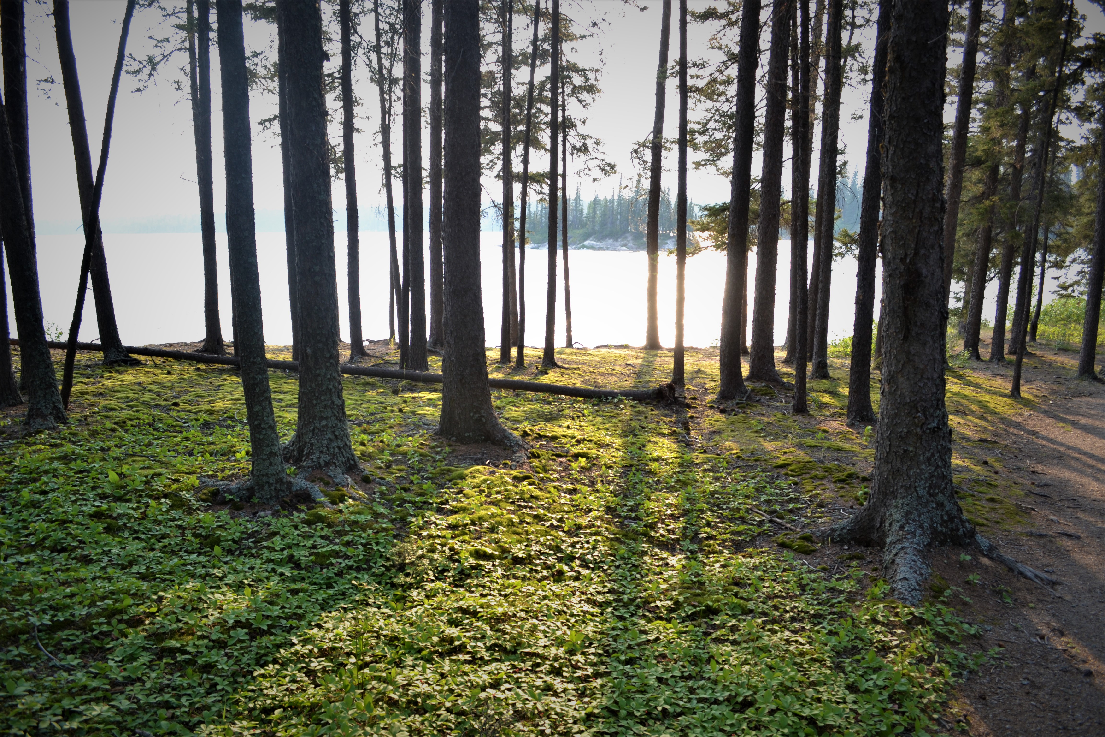 Programs and projects | BHP Foundation