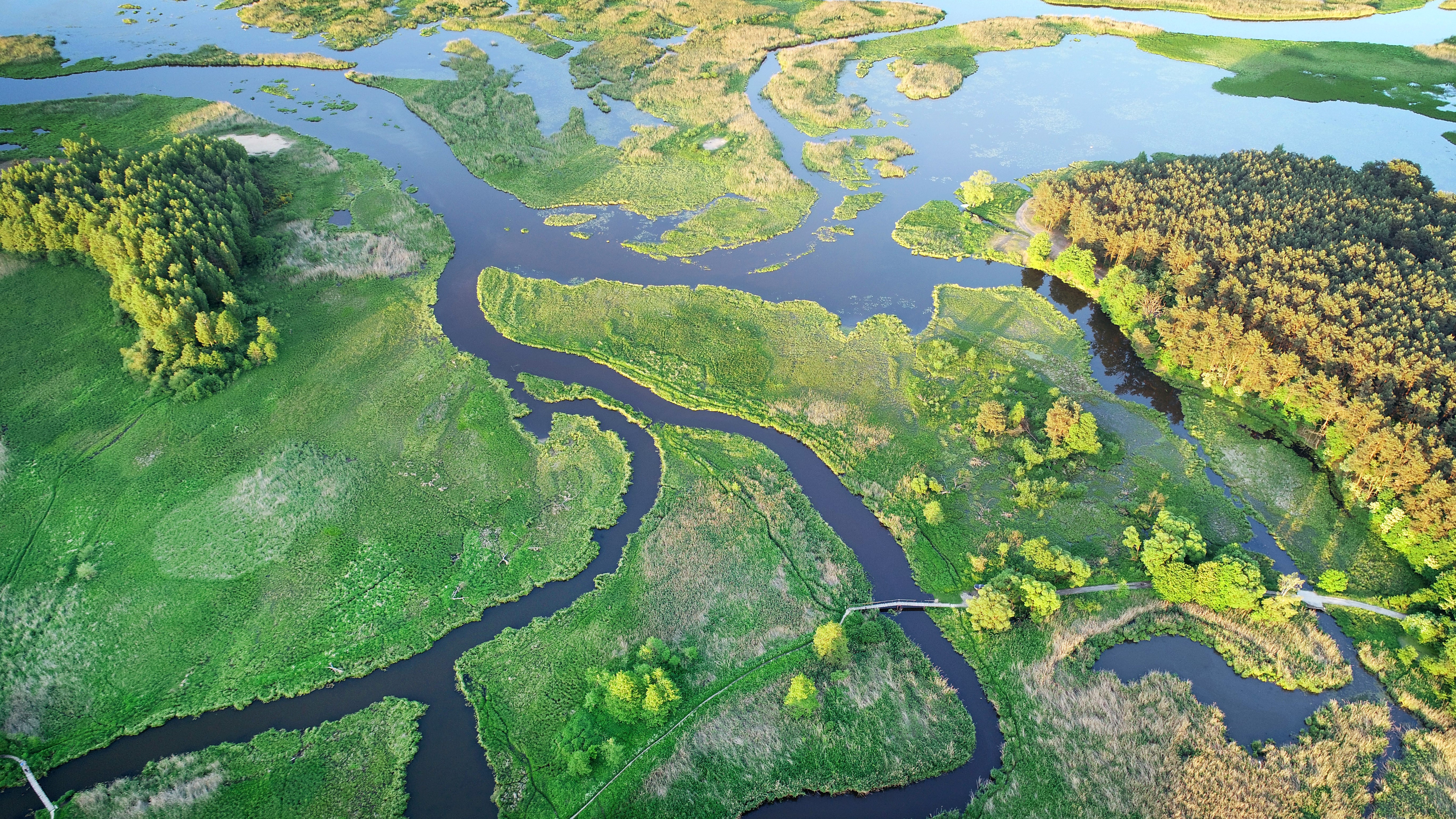 Programs and projects | BHP Foundation