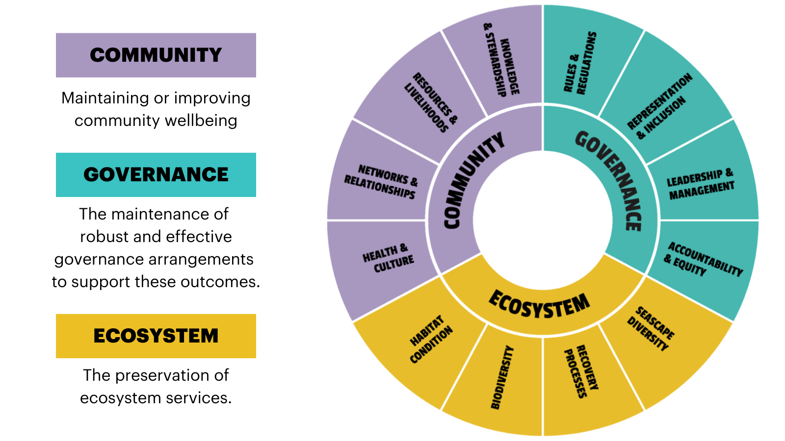 Meet the changemakers: the Great Barrier Reef Foundation | BHP Foundation