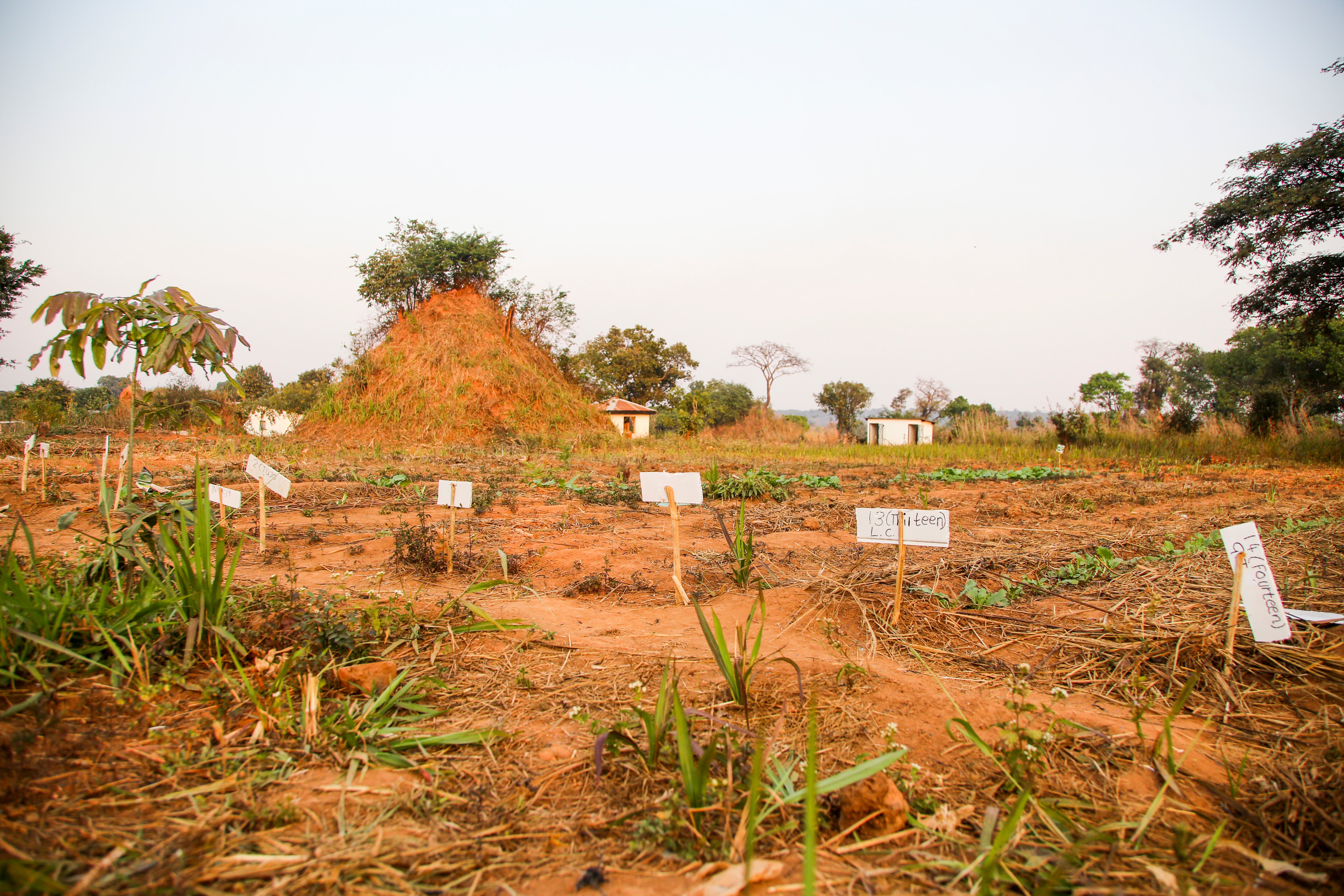 Five Lessons from BHP Foundation's Natural Resource Governance Program ...