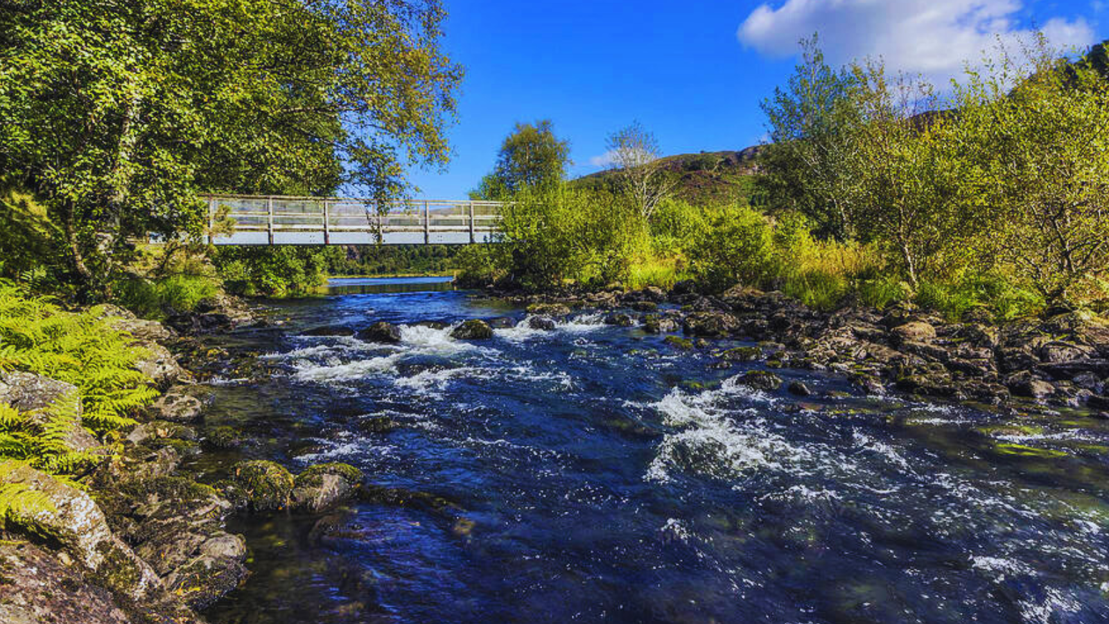 Meet the changemakers: the Centre for Indigenous Environmental ...