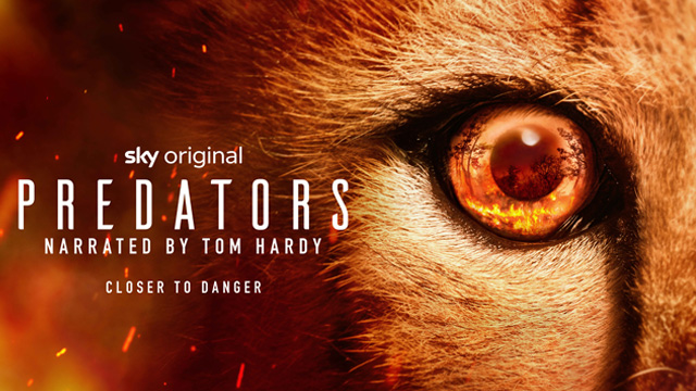 Sky Unveils Trailer For New Sky Original Predators Narrated By Tom ...