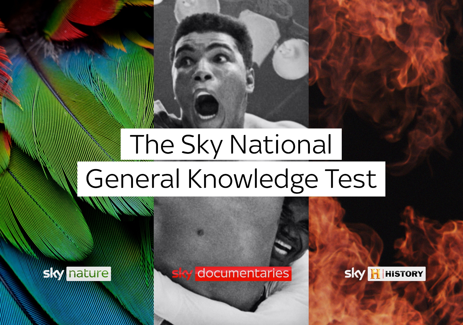 Sky’s National General Knowledge Test launches today featuring 100 ...