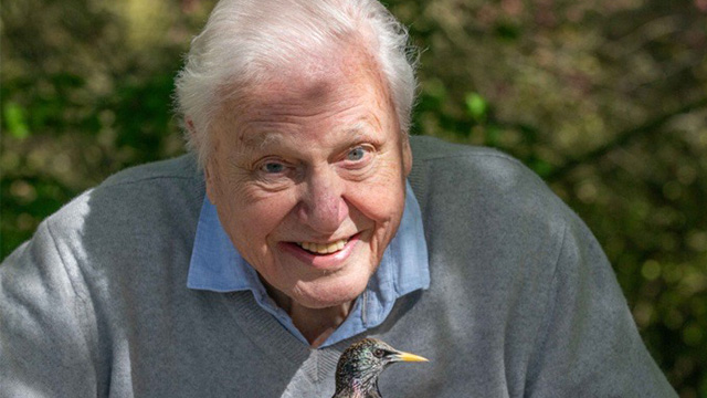 Sky announces a raft of new Entertainment, Factual and Original ...