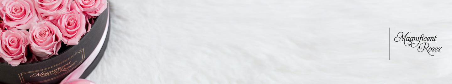 Magnificent Roses: Long-Lasting Preserved Roses | 1800Flowers