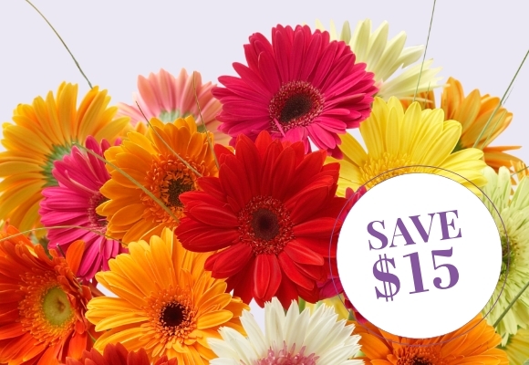 Flower Deals & Discounts: Save Up to 50% | 1800Flowers