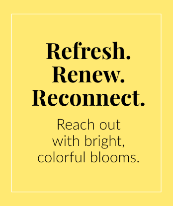 Flower Bulb Delivery | Flower Bulb Gift Baskets | 1800Flowers