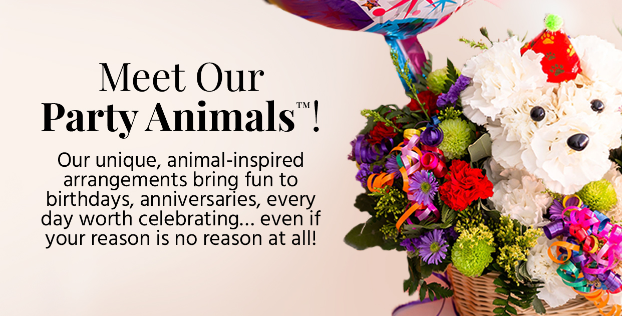 Party Animals | Animal Shaped Flowers | 1800Flowers.com