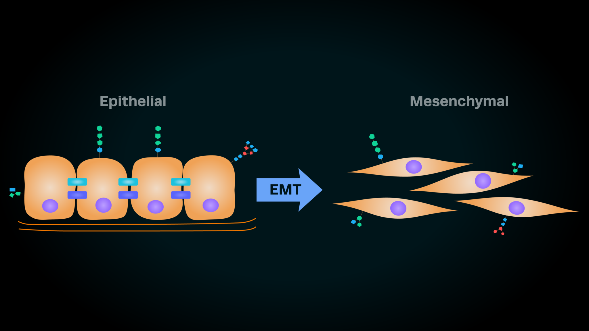 Featured CRISPR Research From Our Customers
