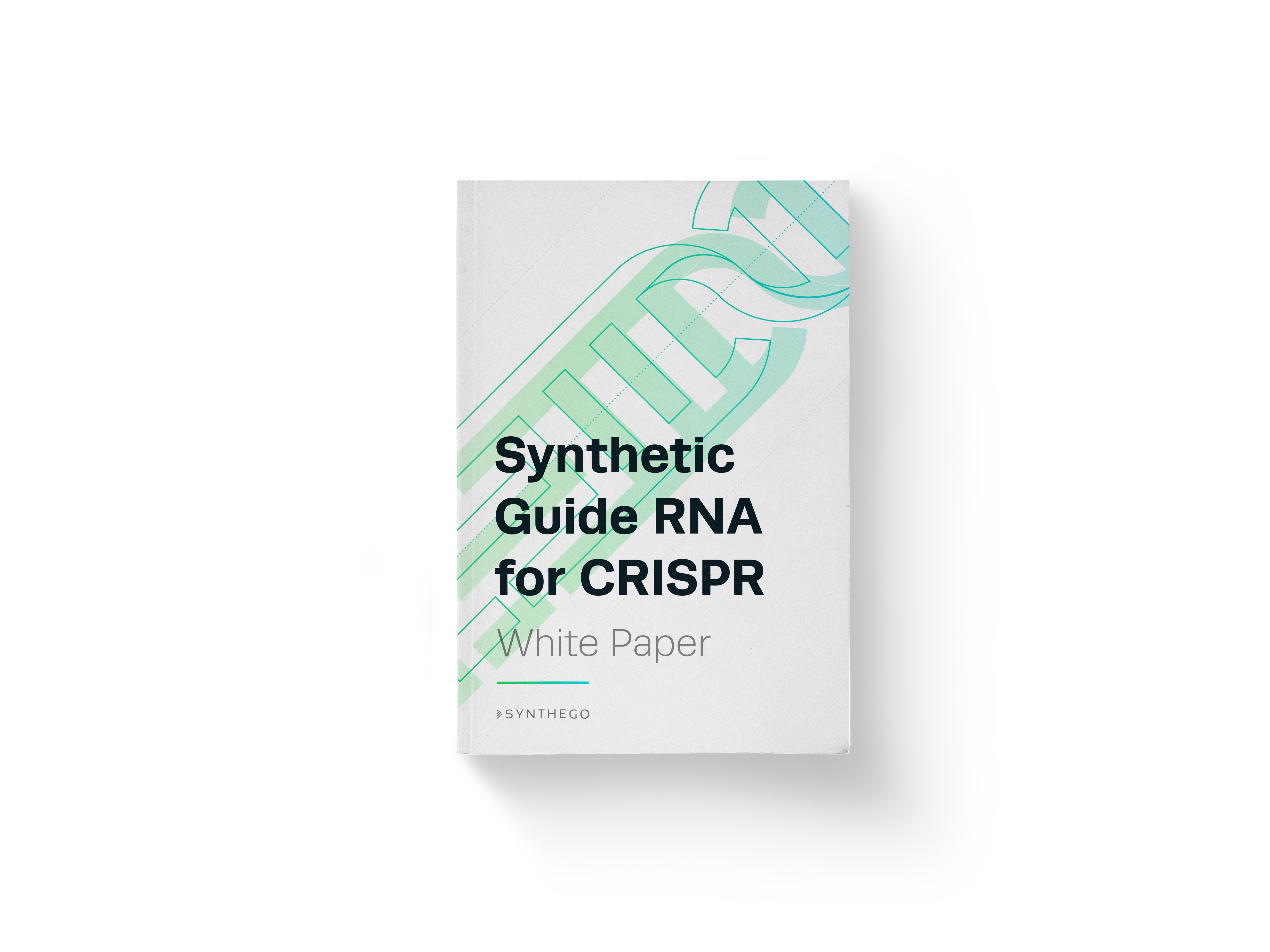 Synthetic Guide RNA for CRISPR