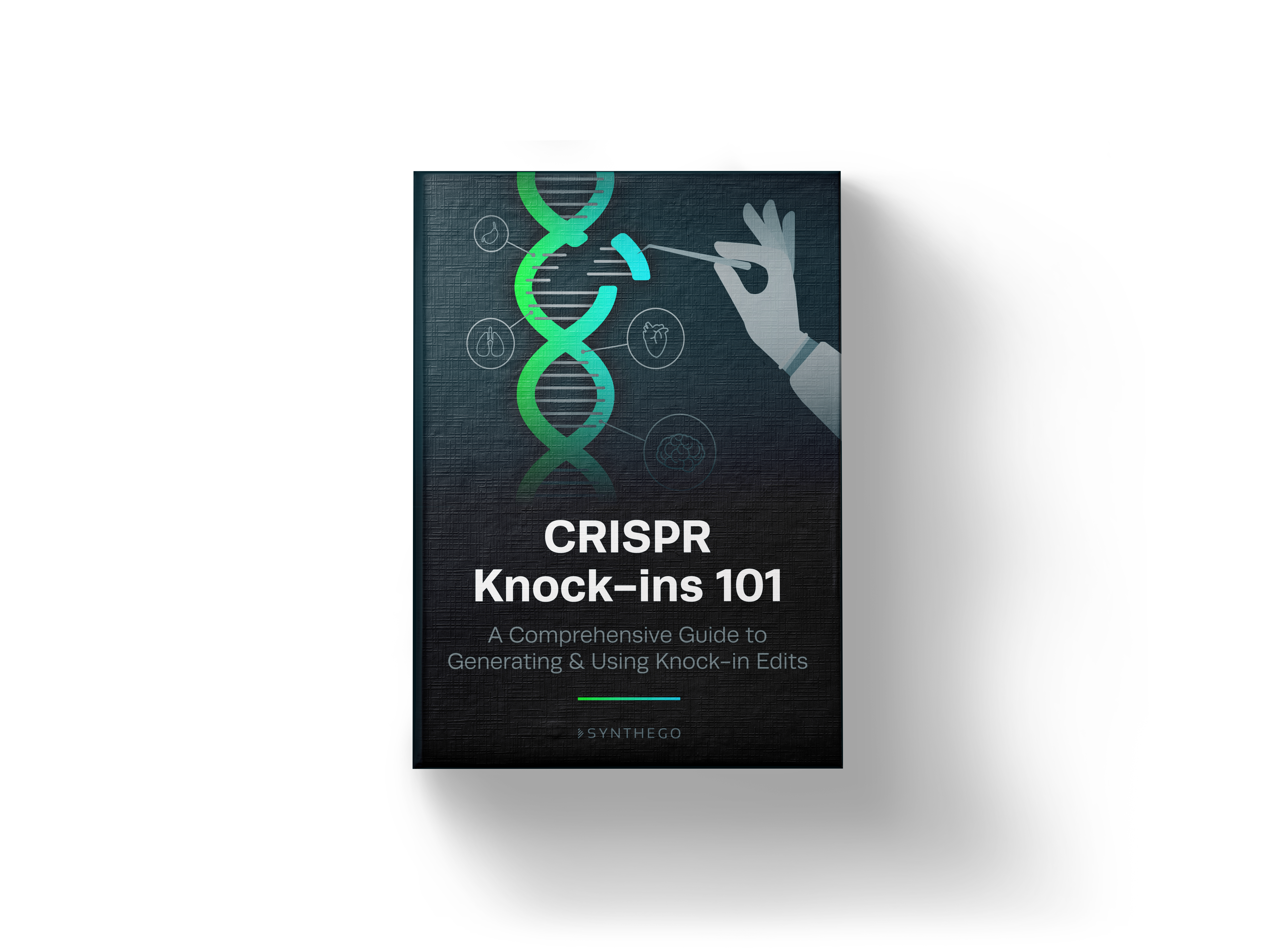 CRISPR Knock-ins 101