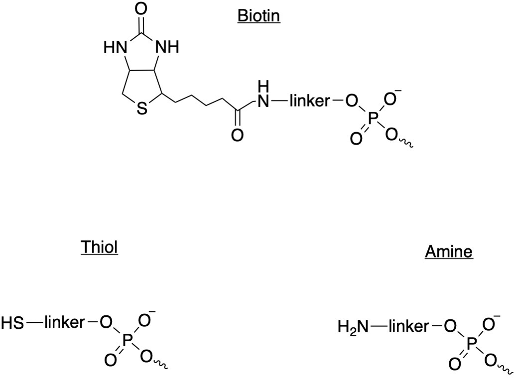Demystifying CRISPR gRNA Chemical Modifications