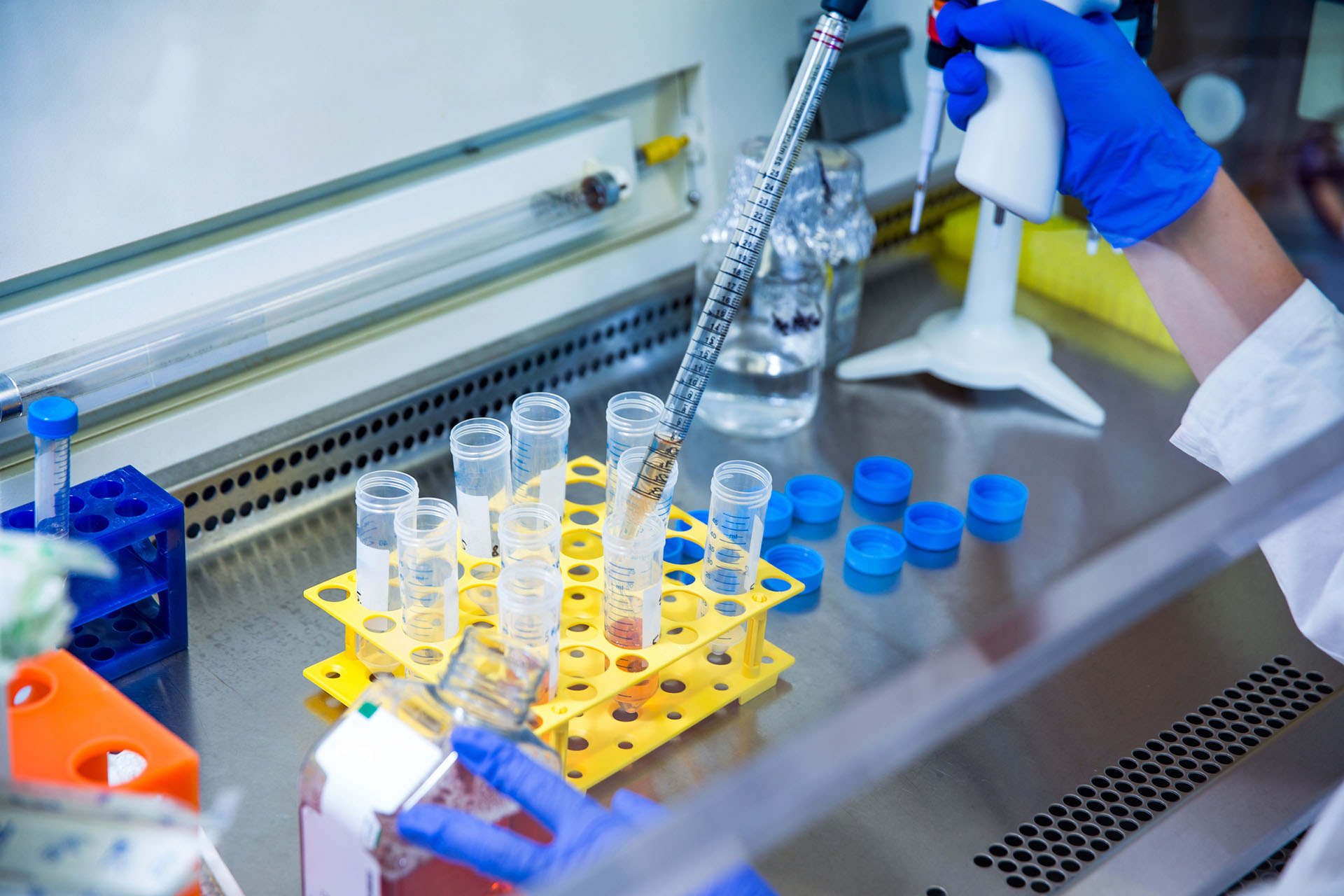 What is Genome Editing: Techniques & Applications | Synthego