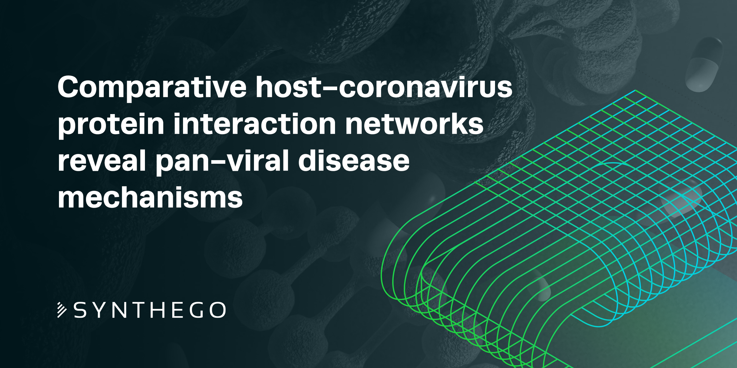 Comparative host-coronavirus protein interaction networks reveal pan ...