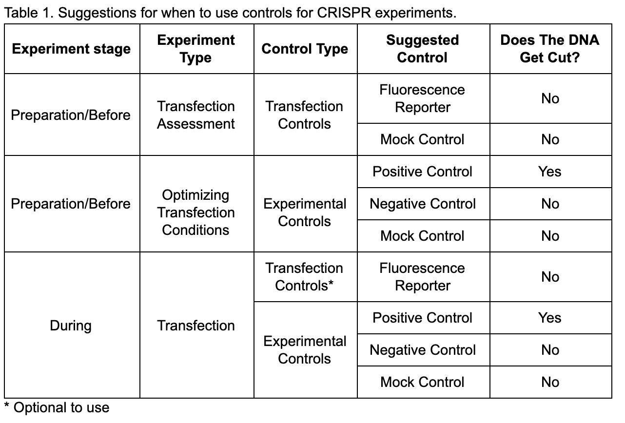 Ensure Proper Controls in Your CRISPR Experiments
