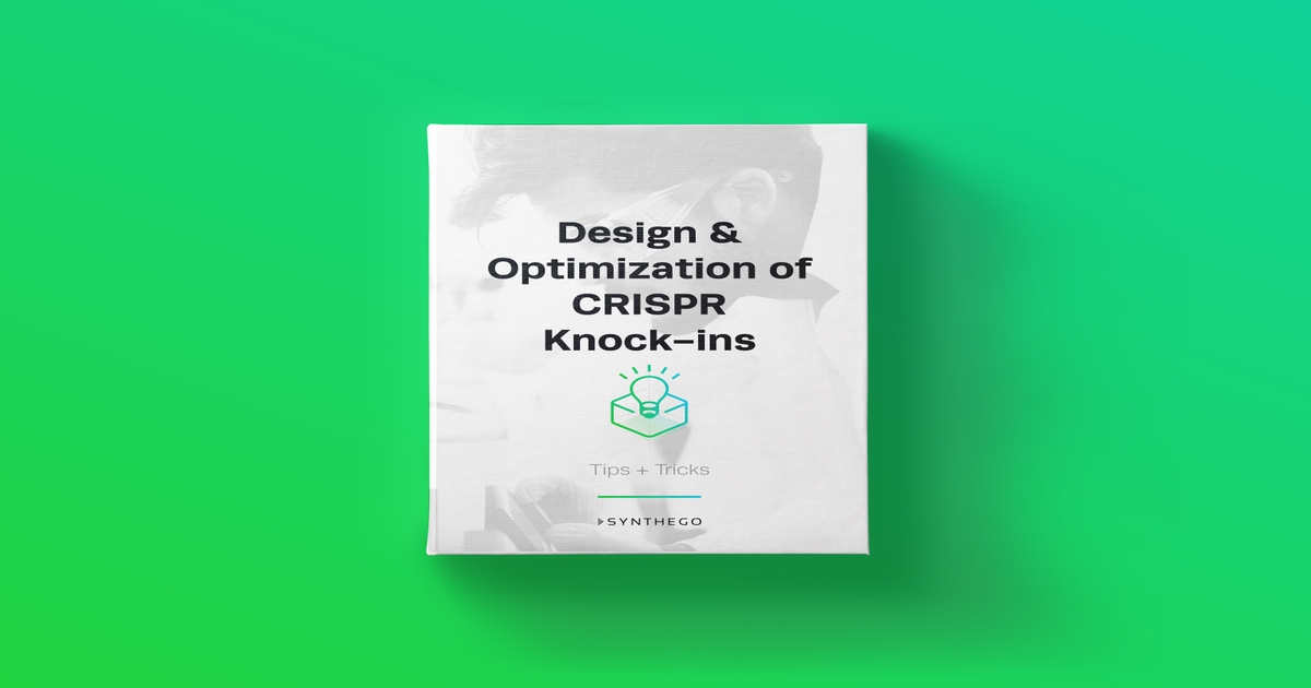 Design and Optimization of CRISPR Knock-in Experiments