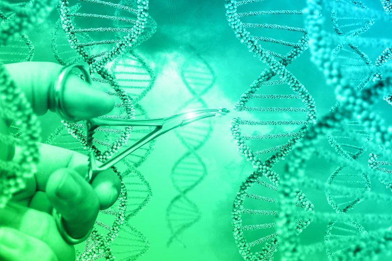What is Genome Editing: Techniques & Applications | Synthego