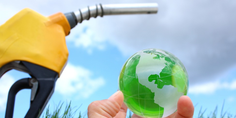 CRISPR: A Solution to the Global Energy Crisis?