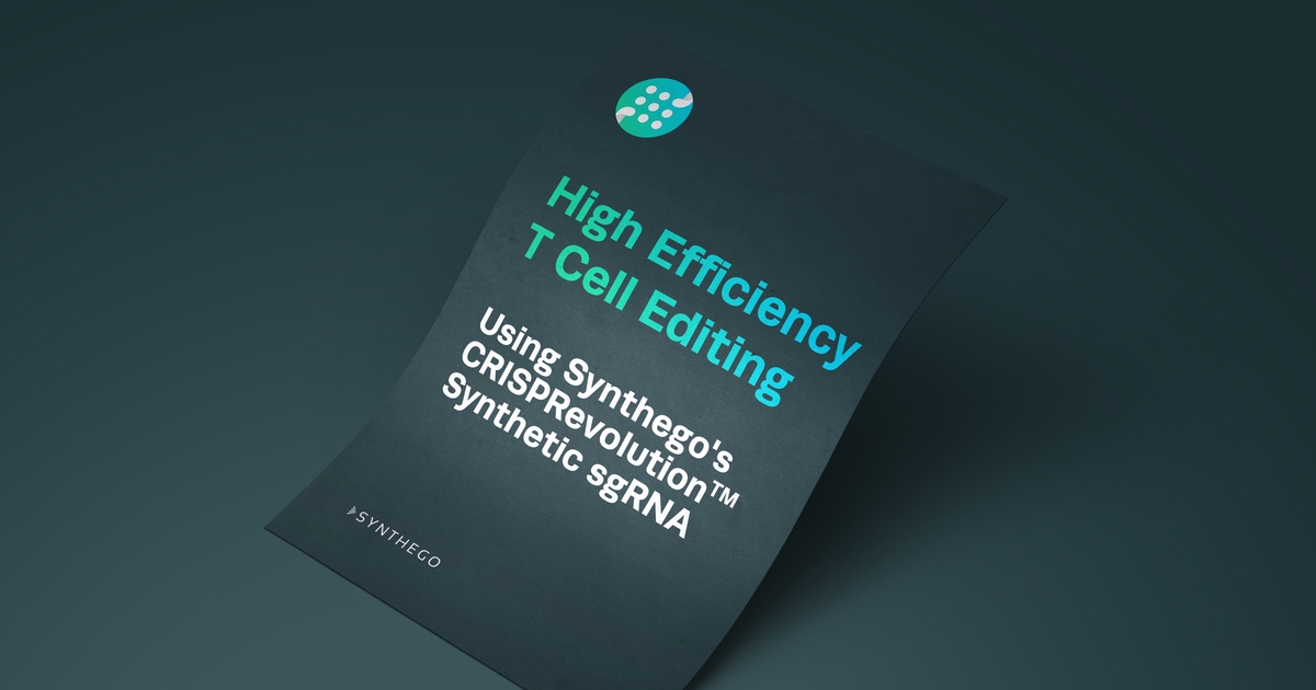 High Efficiency T Cell Editing High Efficiency T Cell Editing