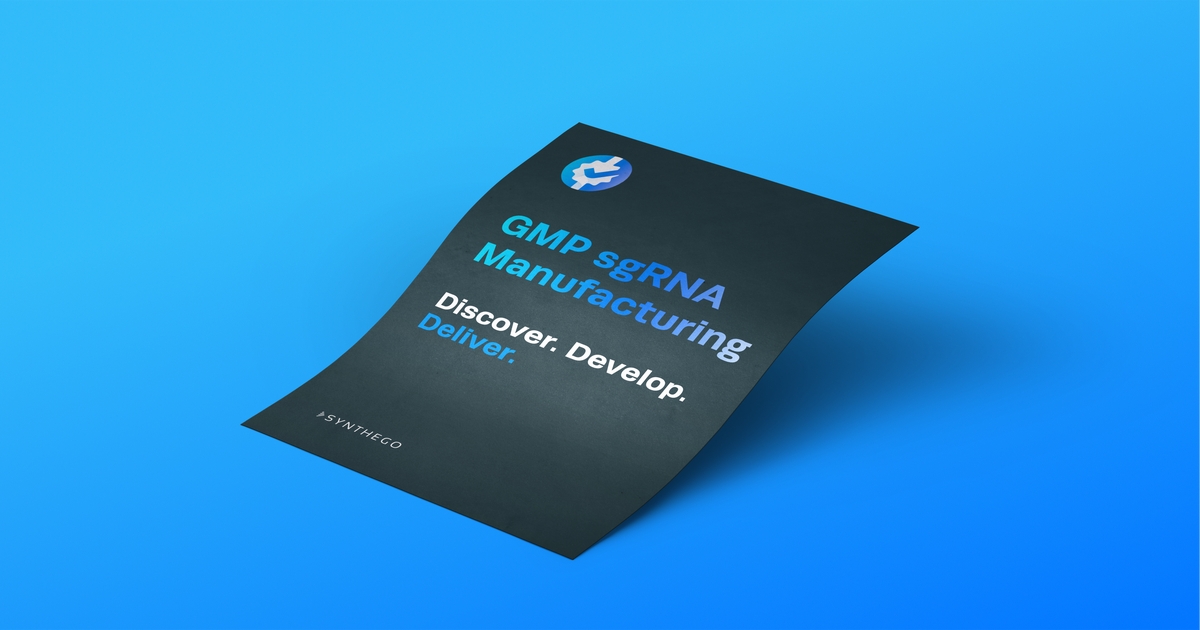 GMP sgRNA Manufacturing