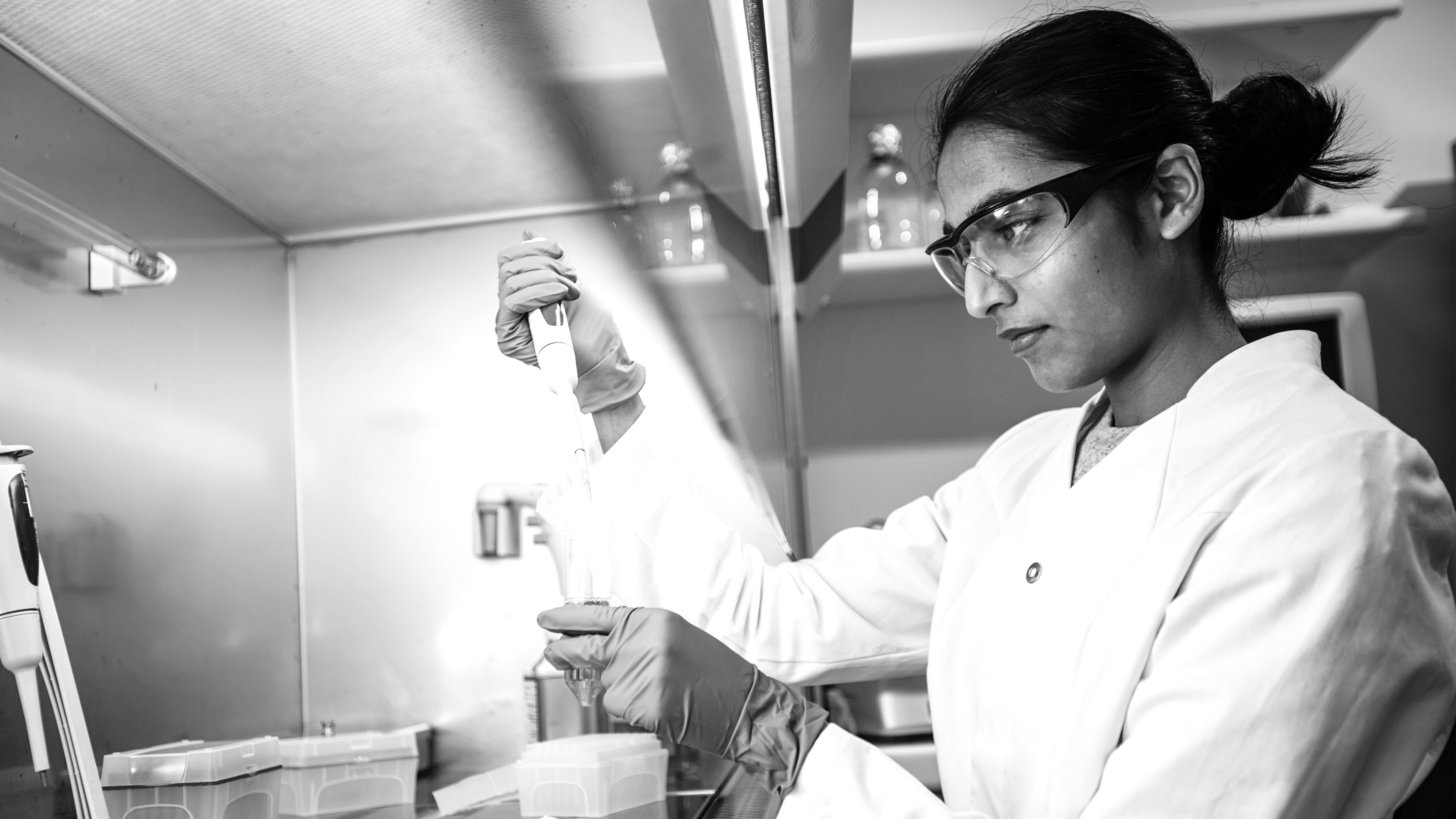 A Step-by-Step Guide on Successful CRISPR Experiments