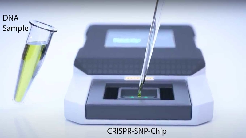 SNP-Chip: New CRISPR-Chip Iteration Enables Rapid Detection of Single ...