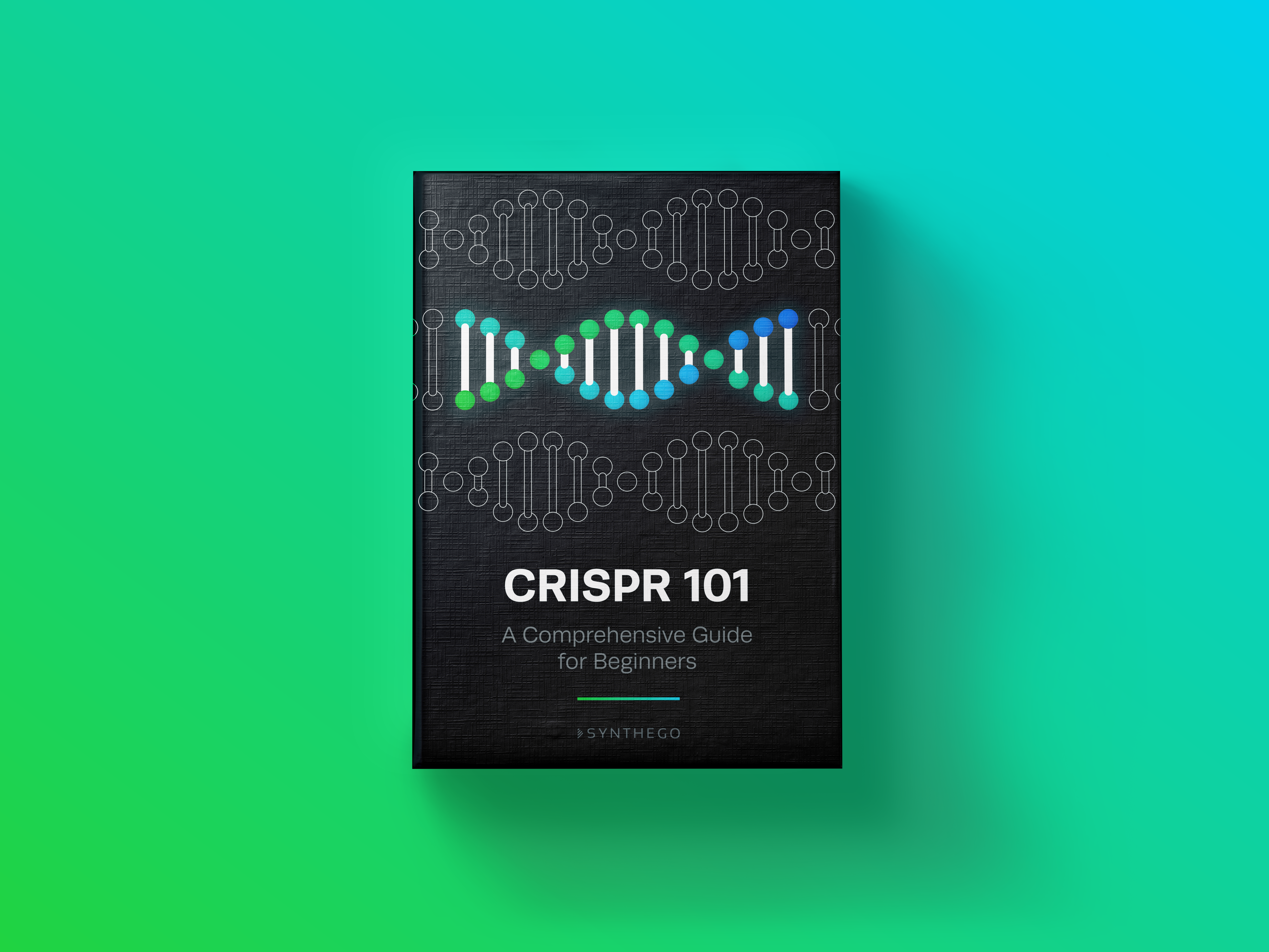 How To Use CRISPR: Your Guide to Successful Genome Engineering