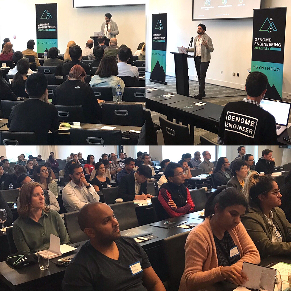 Genome Engineering Summit: Highlights & Takeaways