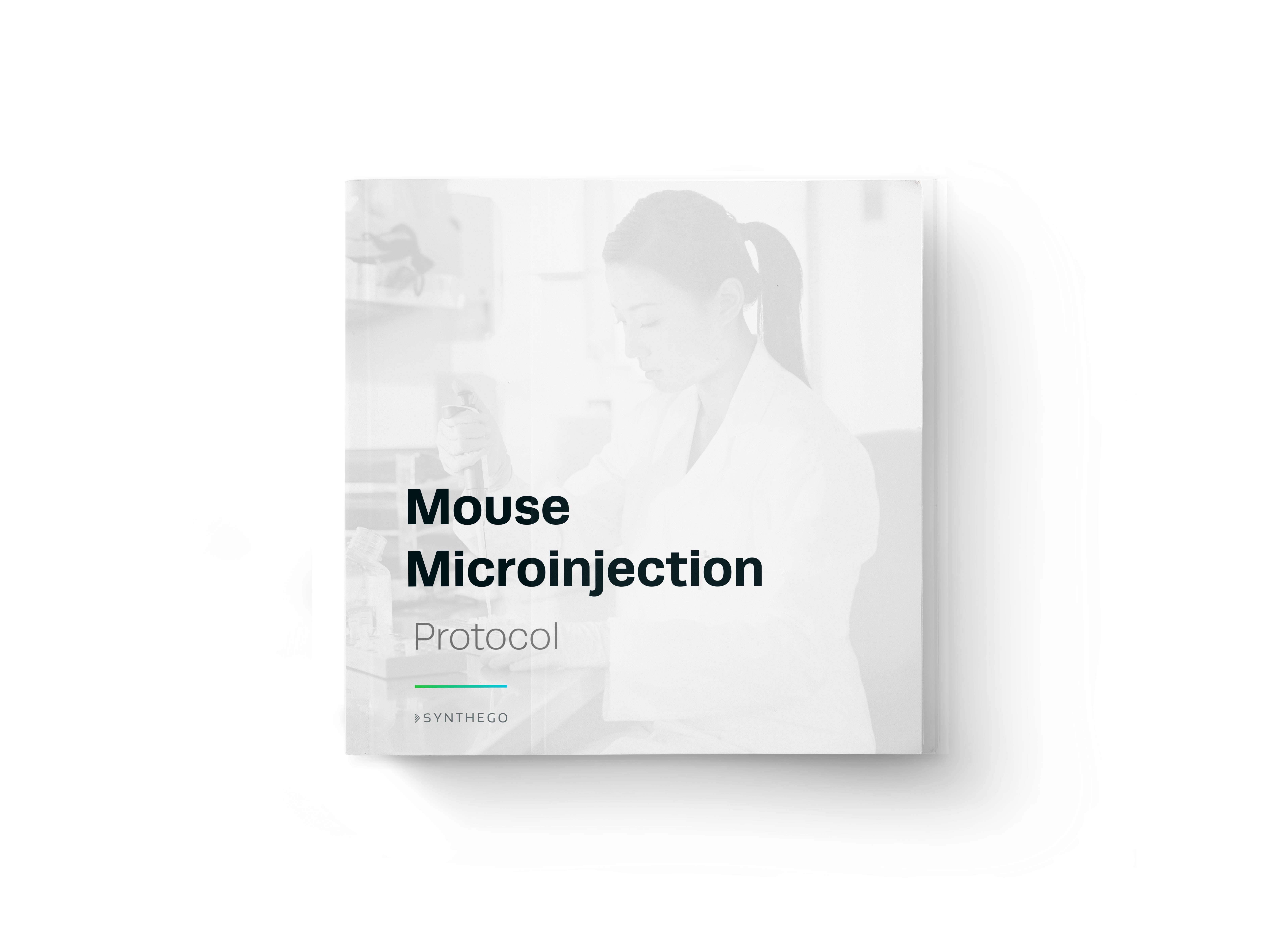 Mouse Embryo Microinjection Protocol