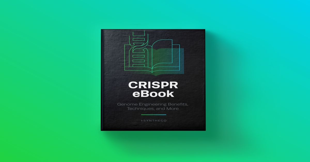Optimizing An Arrayed Crispr Screen