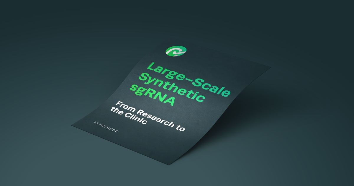 Large Scale Synthetic Sgrna From Research To The Clinic