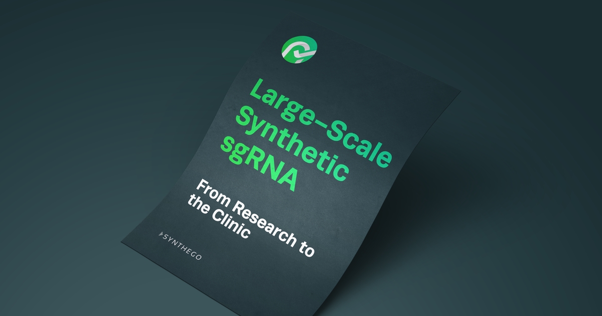 Large Scale Synthetic Sgrna From Research To The Clinic