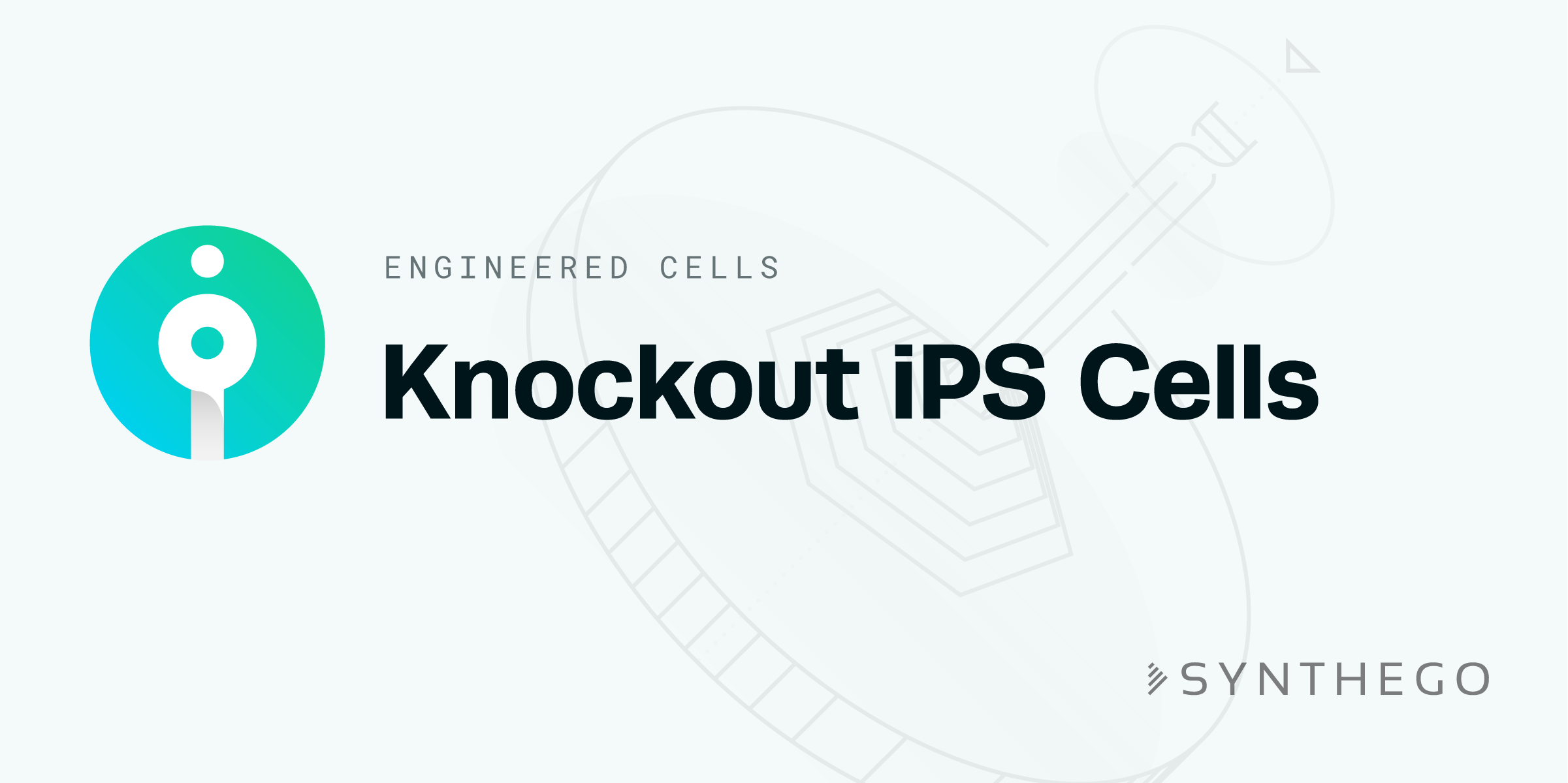 Knockout iPS Cells | Synthego Knockout iPS Cells | Synthego