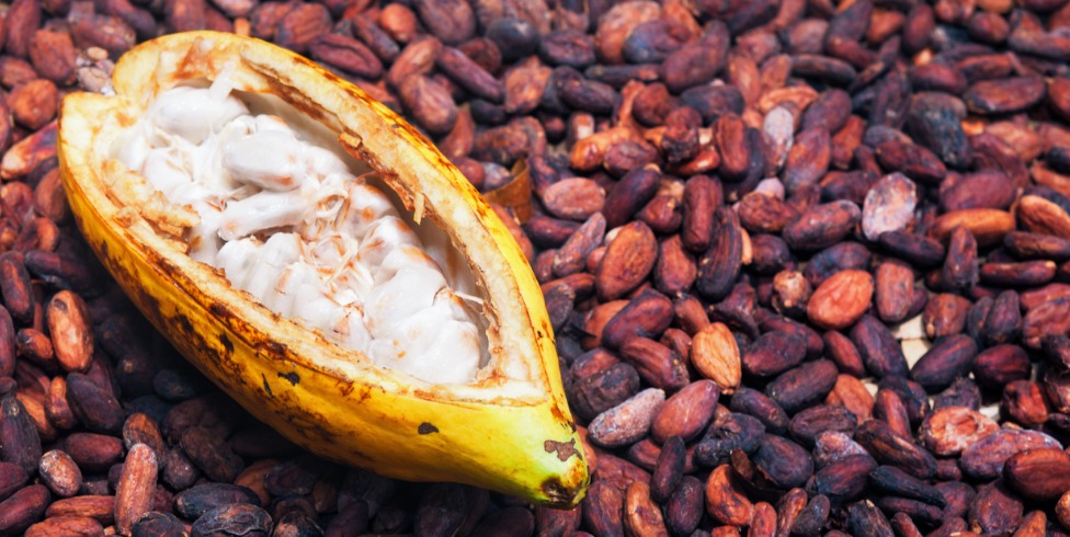 CRISPR in Agriculture: An Era of Food Evolution | Synthego