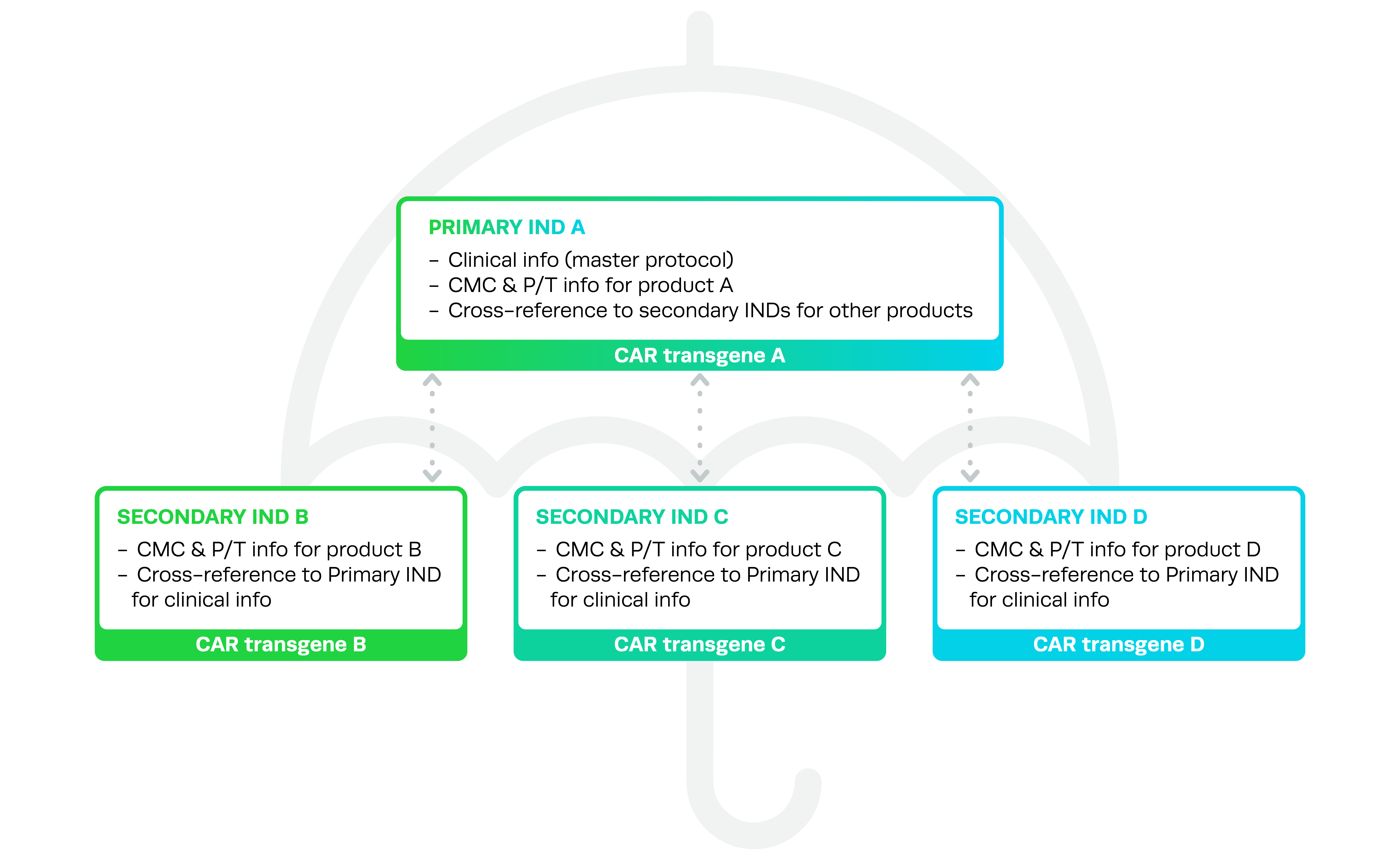 Understanding FDA Cell and Gene Therapy Guidance