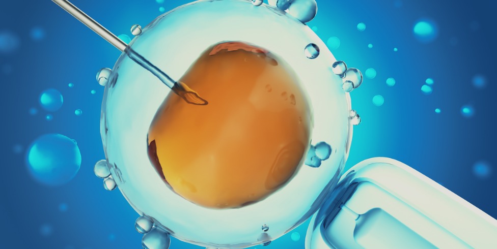 CRISPR Edited Transgenic Animals