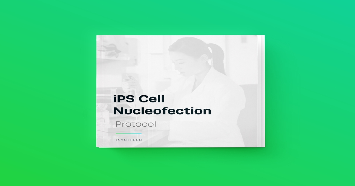 iPS Cell Nucleofection Protocol