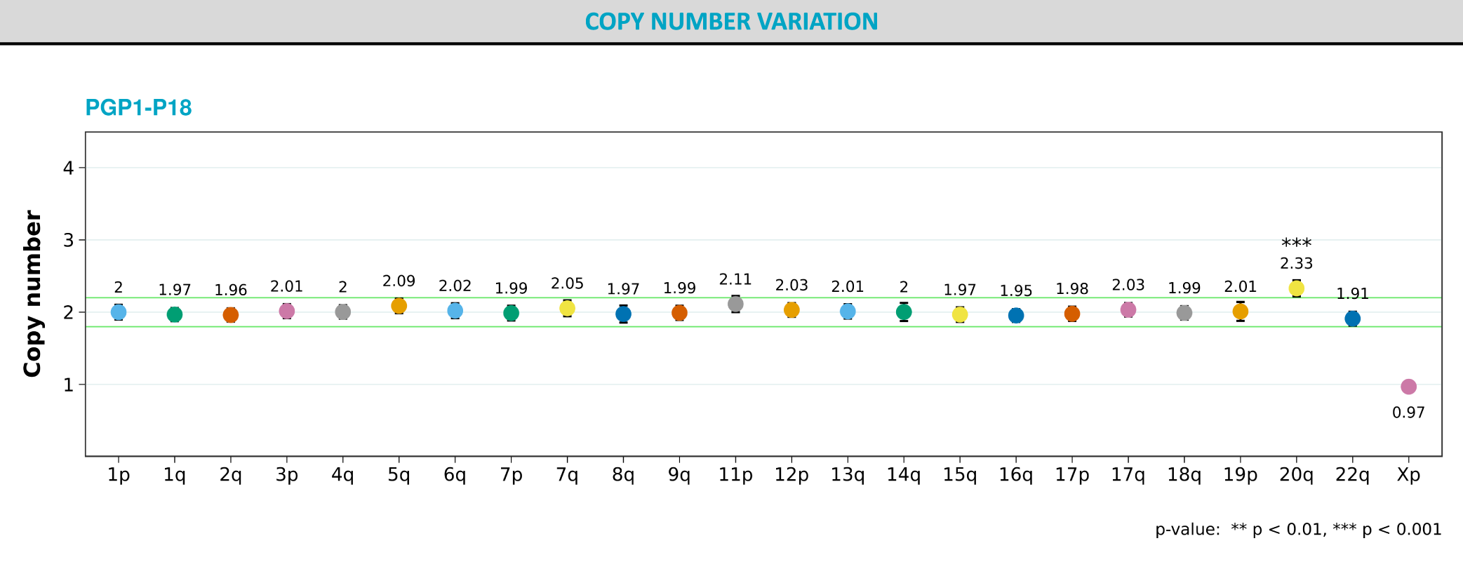 What Is Karyotyping? Methods and Their Significance | Synthego