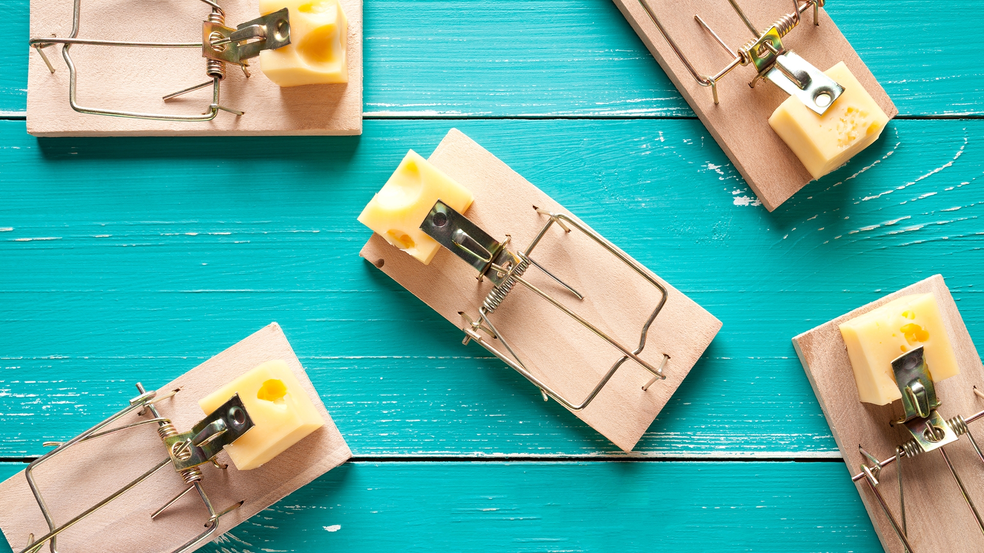 The Complete Guide to Understanding CRISPR sgRNA