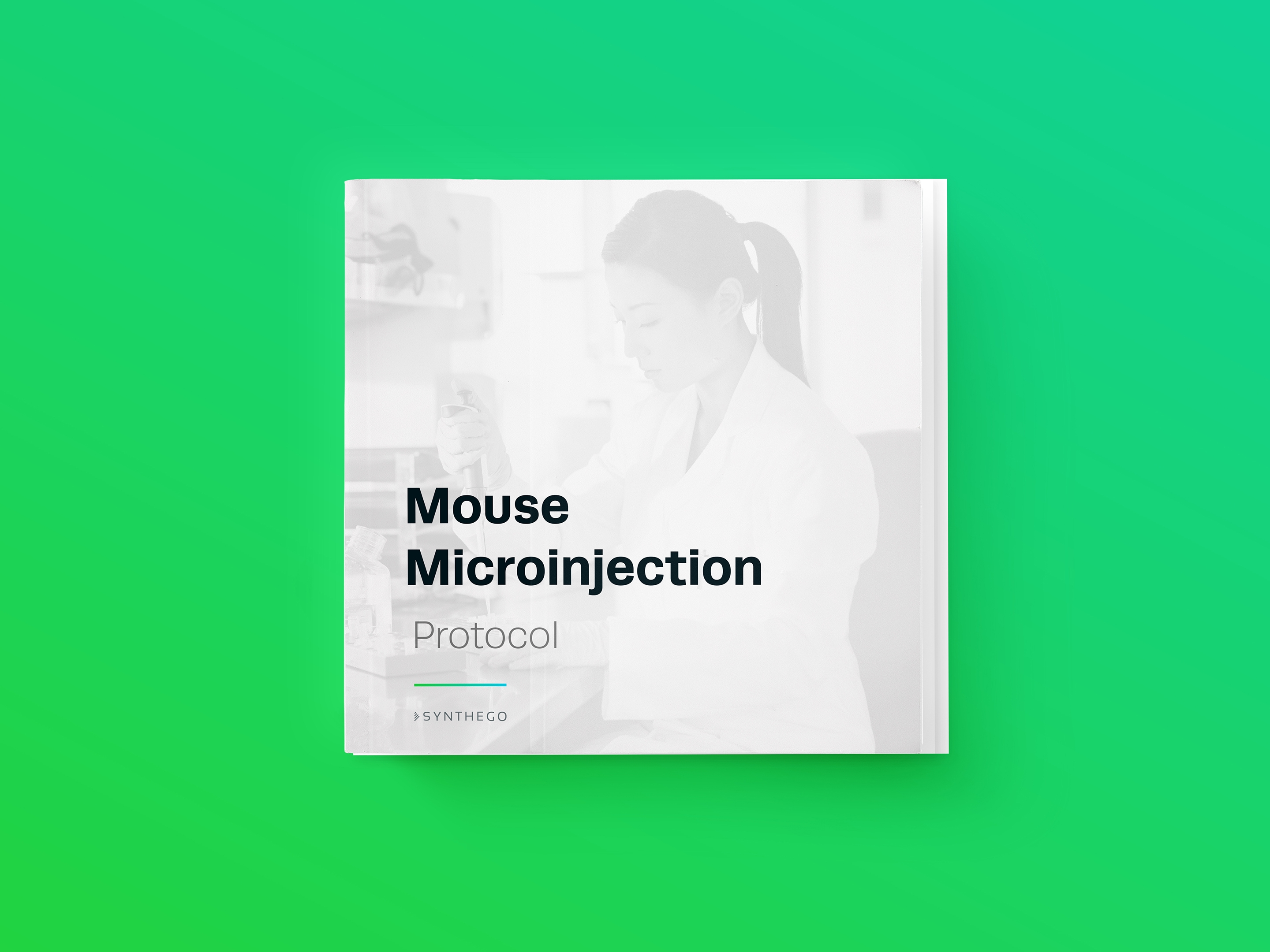 Mouse Embryo Microinjection Protocol