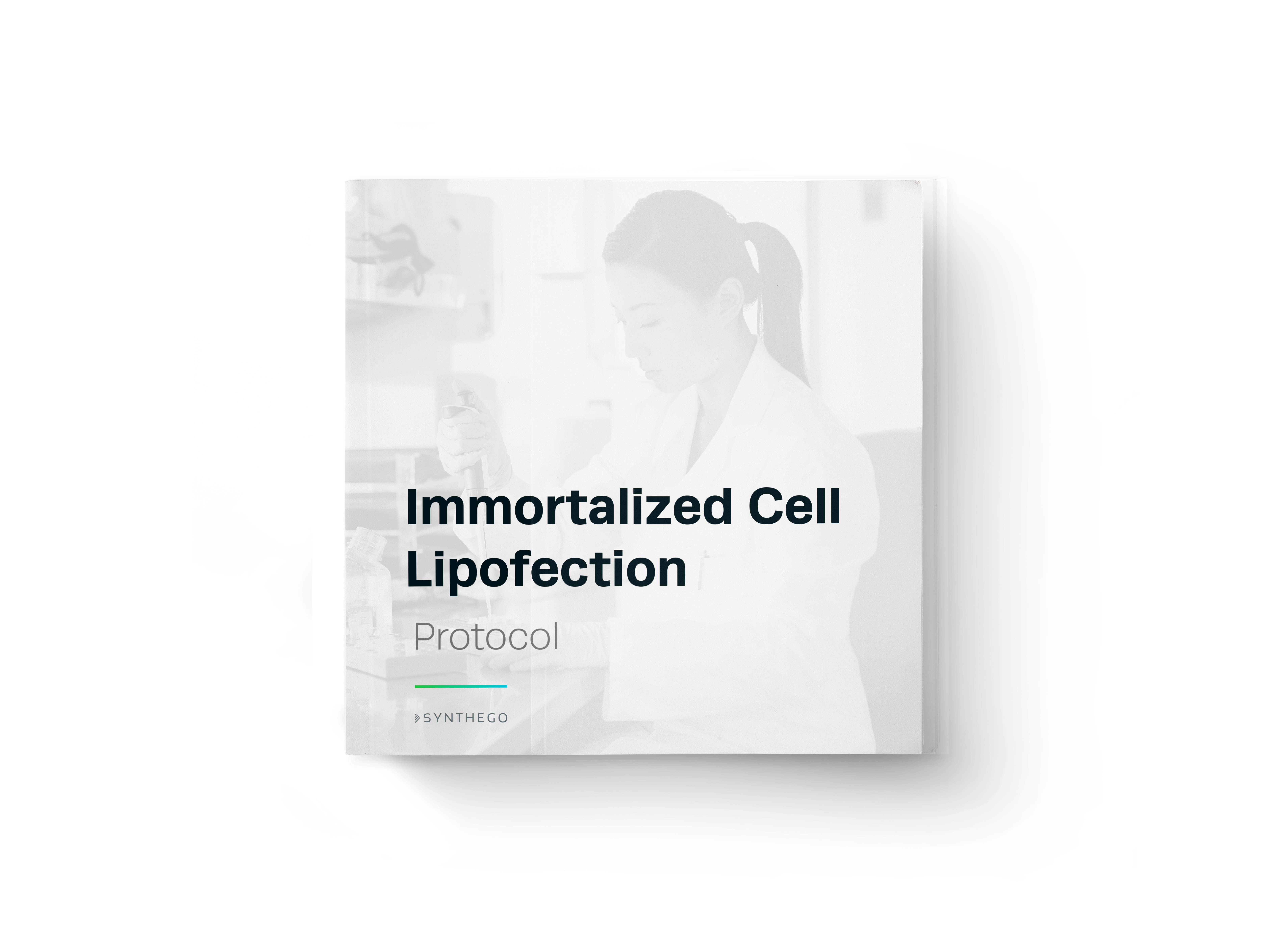 Immortalized Cell Lipofection Protocol