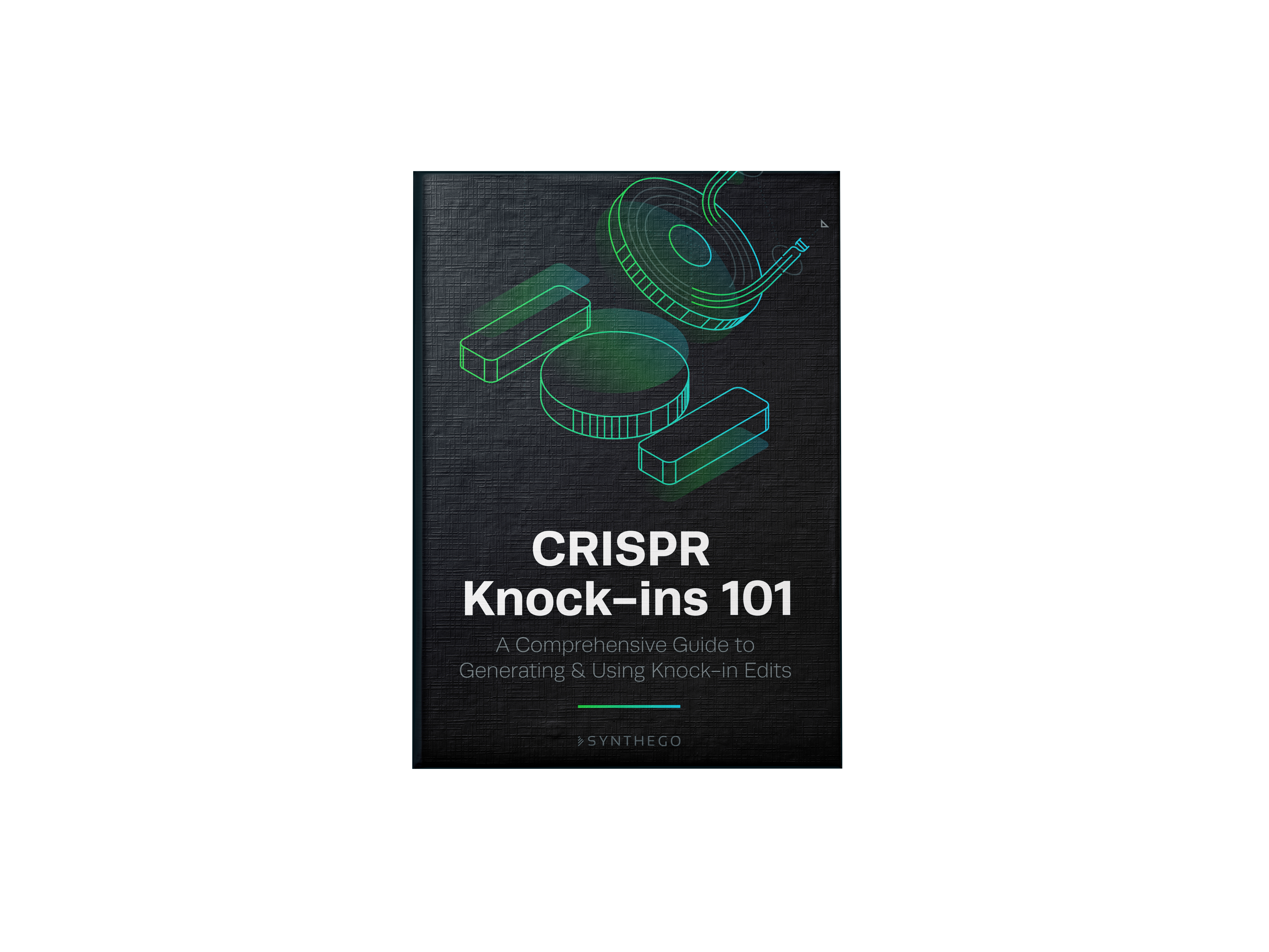 CRISPR Knock-ins 101
